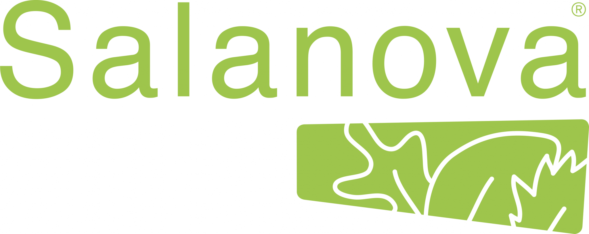 Lechuga Salanova. Novedades para otoño 2022 – Huerters & Foodies